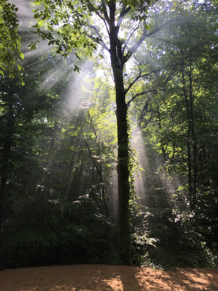 The Light GAP Revisited - The Light Gap