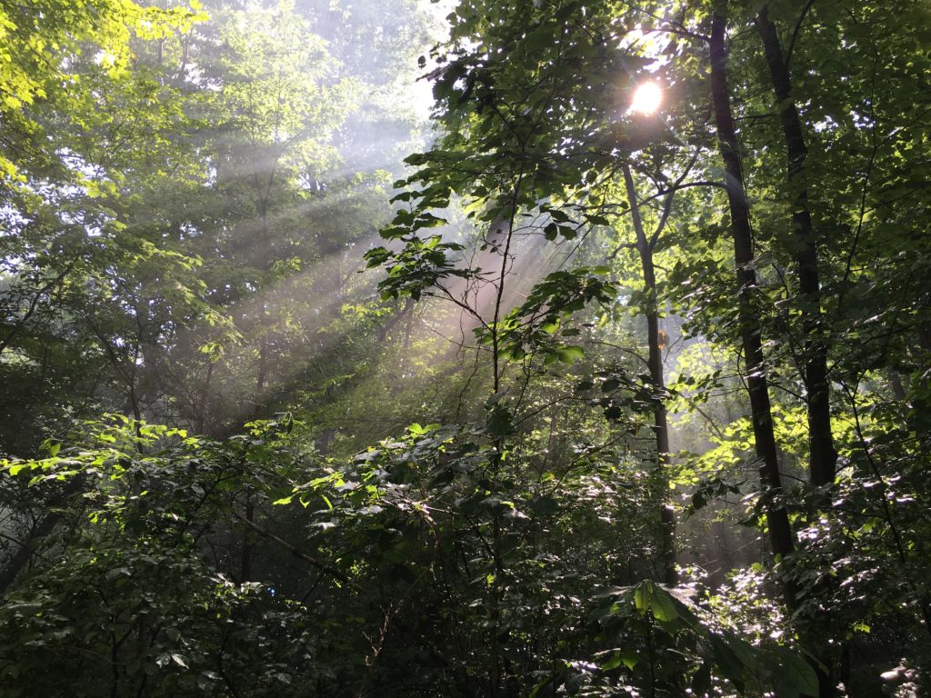 The Light GAP Revisited - The Light Gap