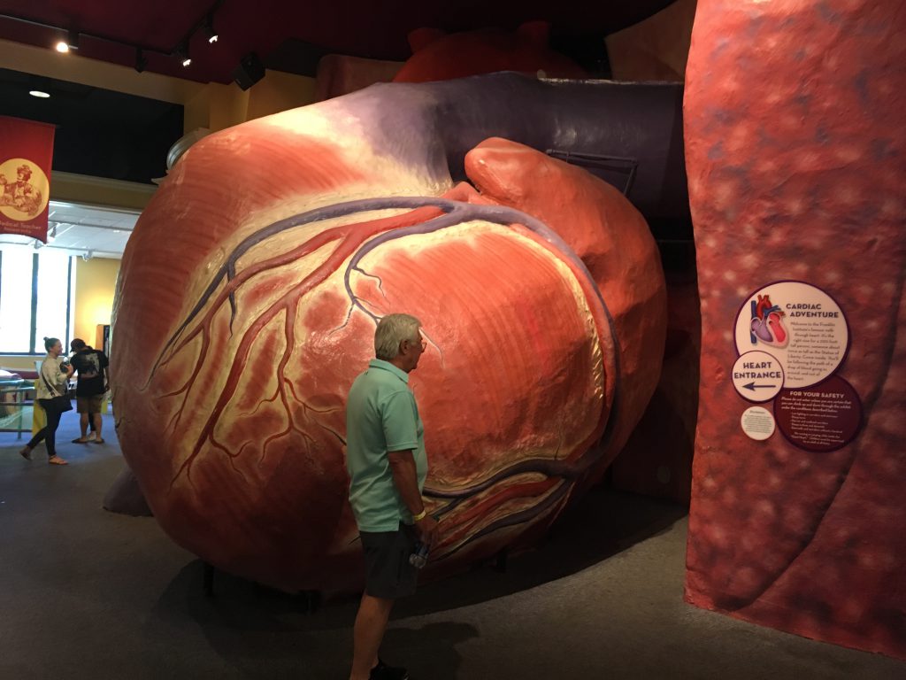 Looking at LIFE...The Close Up Picture - The Light Gap