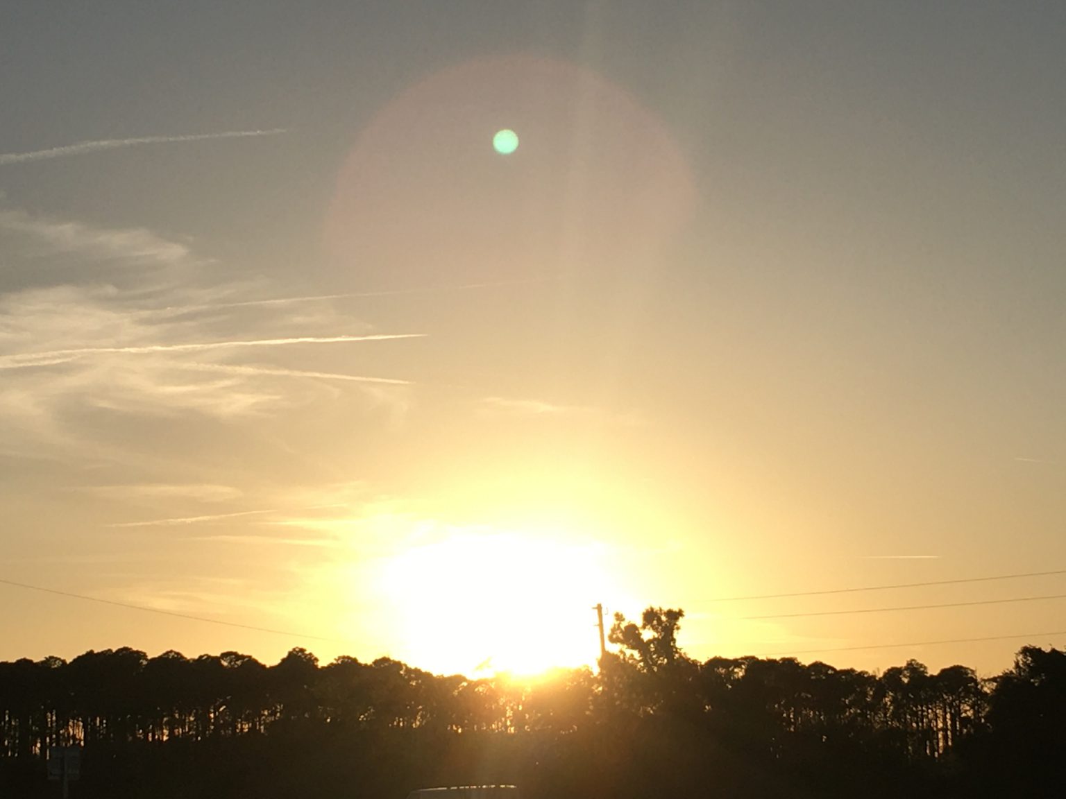 Self-Directed EVOLUTION - The Light Gap