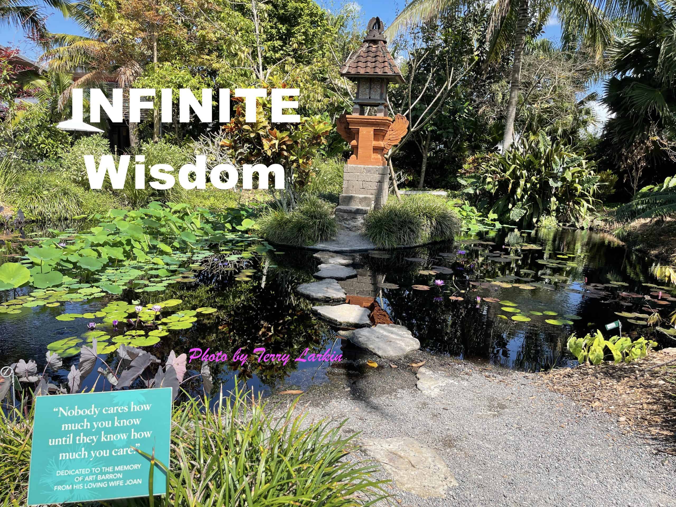 Infinite Intelligence - The Light Gap