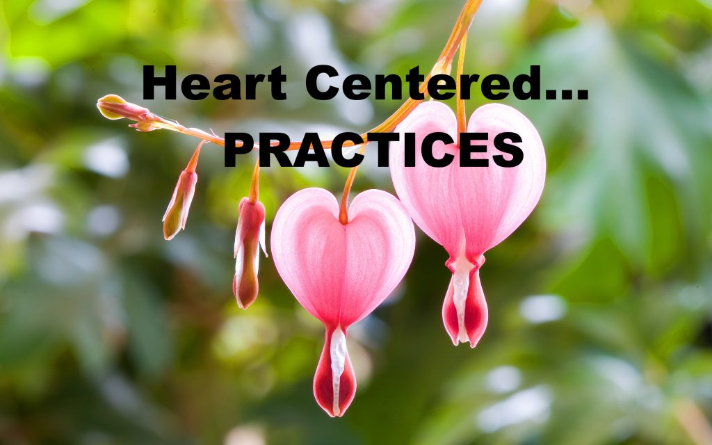 Heart Centered PRACTICES - The Light Gap