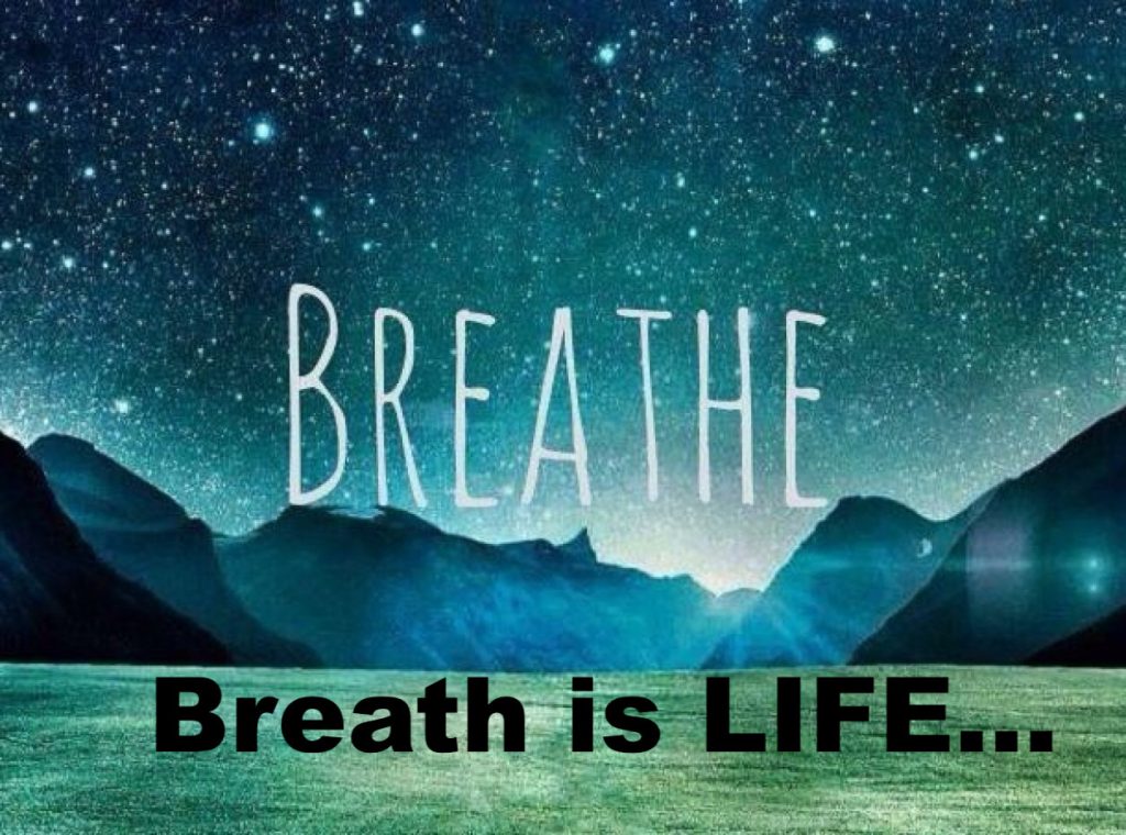 Breath is LIFE - The Light Gap